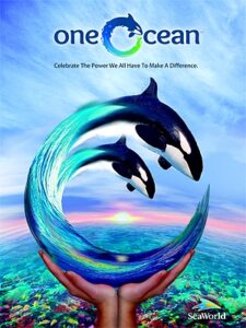 New Shamu Show to Debut at SeaWorld