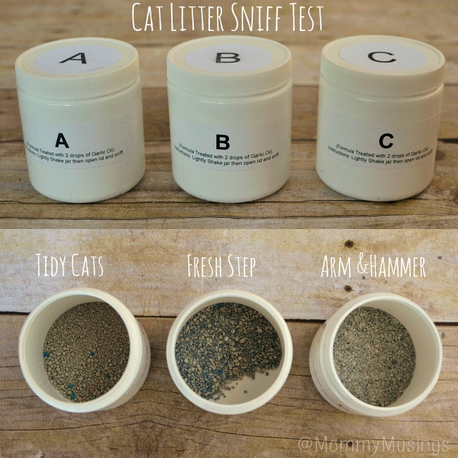 Which Cat Litter Passes the Sniff Test?