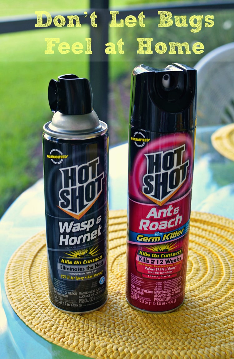 Who's The Bug Hero In Your Home? #HotShot