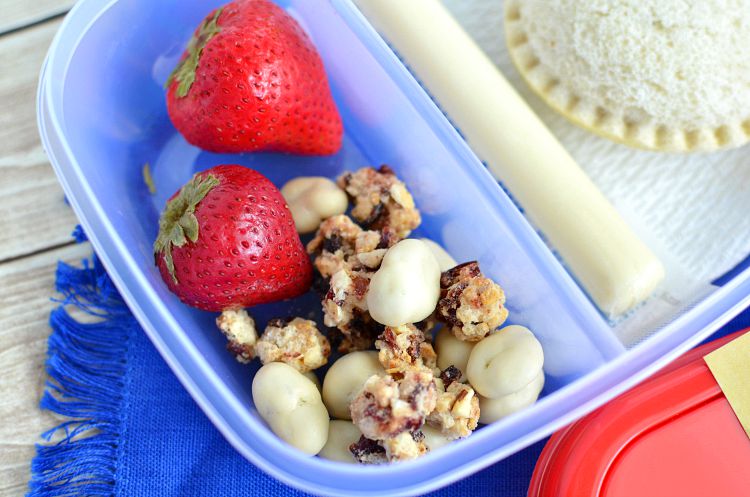 Tips to Master the Lunchbox