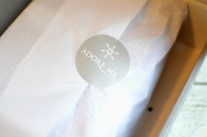 Adore Me Subscription Box Review